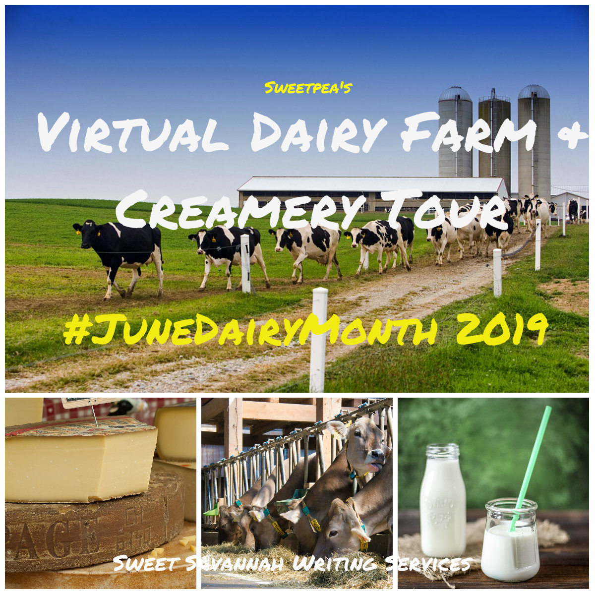 Sweetpea’s Virtual Dairy Farm & Creamery Tour (Part 2) – Sweetpea's ...